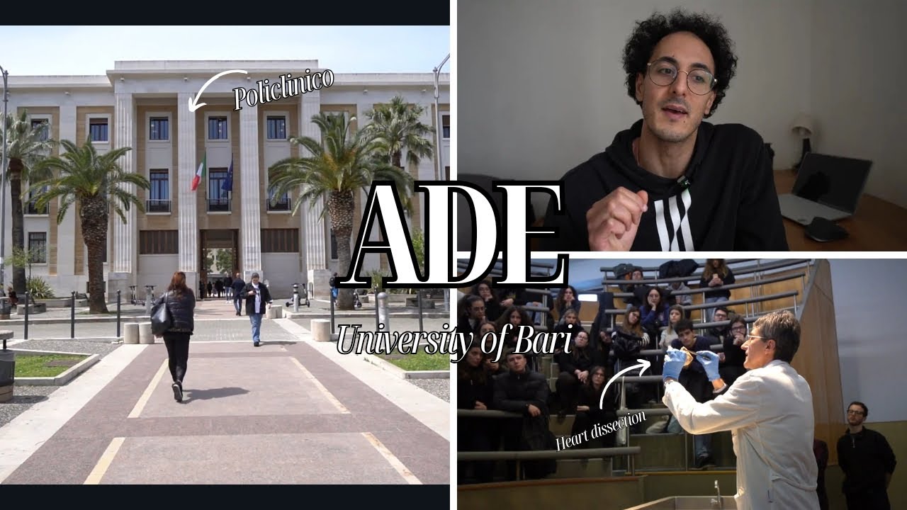 International medical student guide in Italy: The concept of ADE:s ...