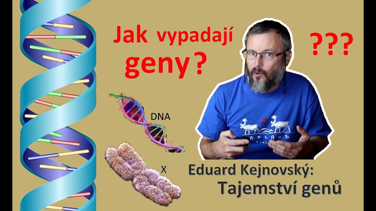 Jak vypadají geny? (Tajemství genů 23) - YouTube