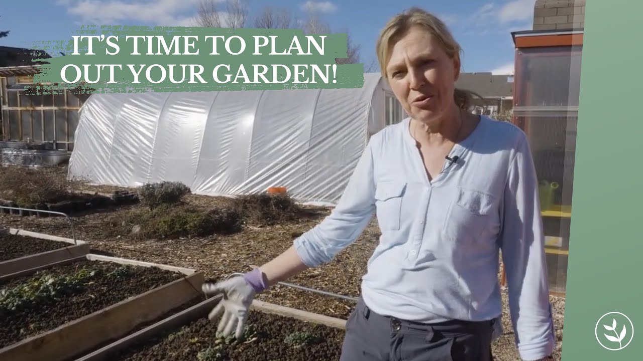 Gardening 101: How To Start Your Garden Today! - YouTube