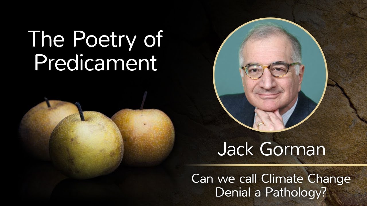 Jack Gorman - Can we call Climate Change Denial a Pathology? - YouTube