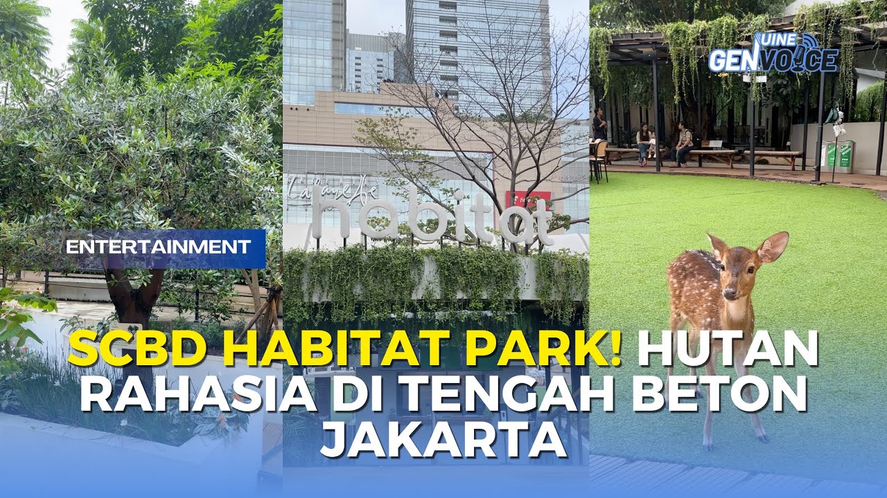 SCBD Habitat Park! Hutan Rahasia di Tengah Beton Jakarta - YouTube