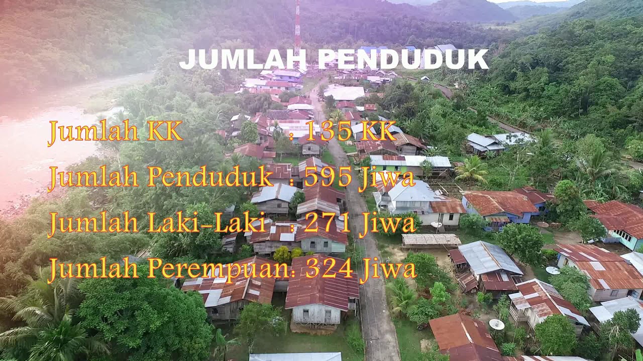 Desa Wisata Long Alango - YouTube