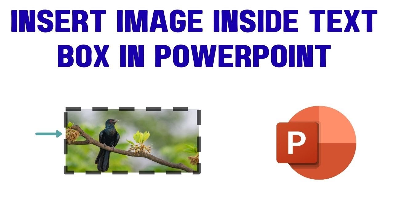 Insert Image Inside Text Box in PowerPoint | Simple & Quick Method ...
