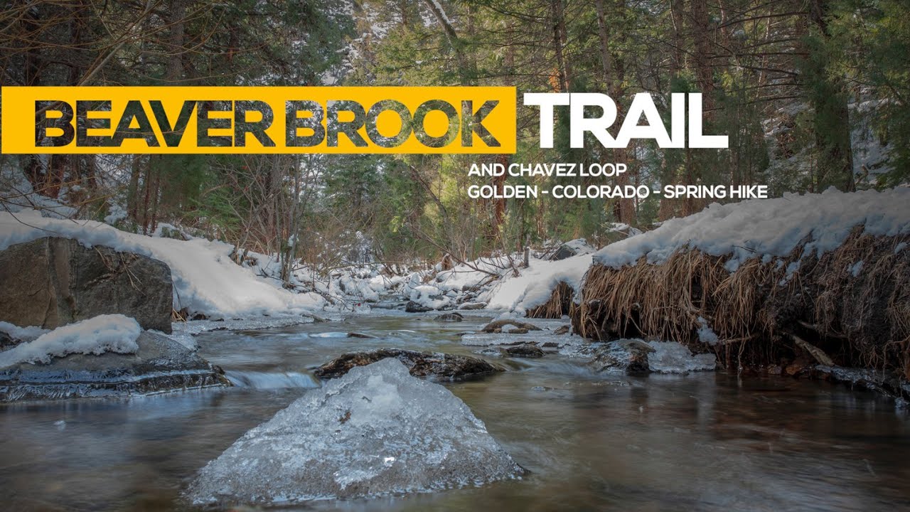 Beaver Brook and Chavez Trail Loop - Spring Hike near Denver Colorado ...