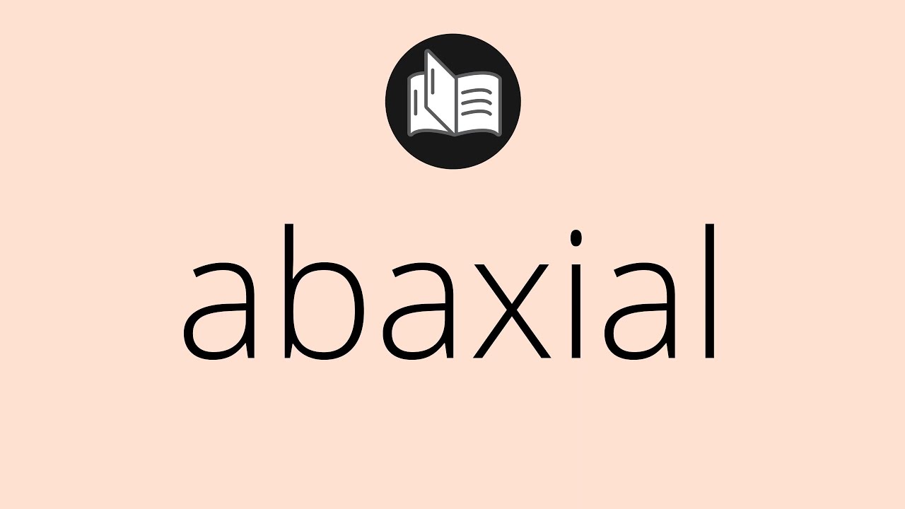 What ABAXIAL means • Meaning of ABAXIAL • abaxial MEANING • abaxial ...