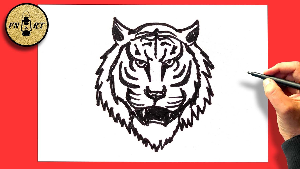 How to draw a tiger face easy step by step - YouTube