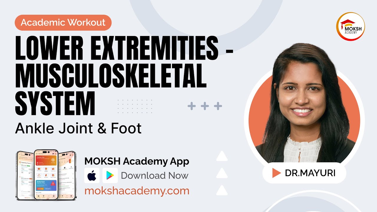 Academic Workout #434: Anatomy | Lower Extremities - Musculoskeletal ...