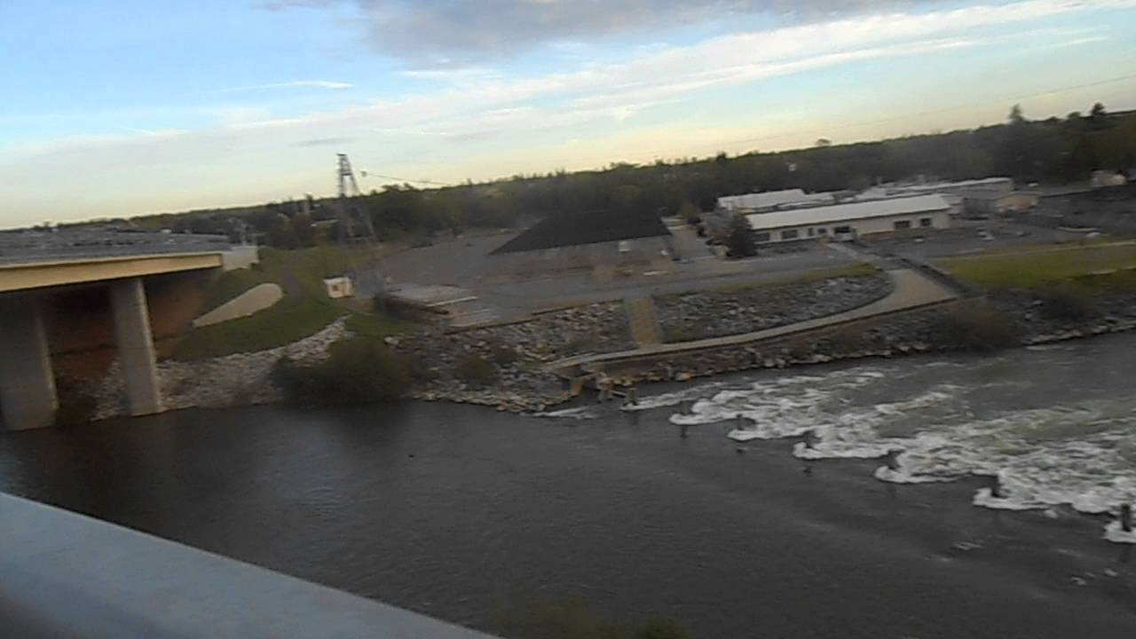 Nimbus fish hatchery american river March 2016 2. - YouTube