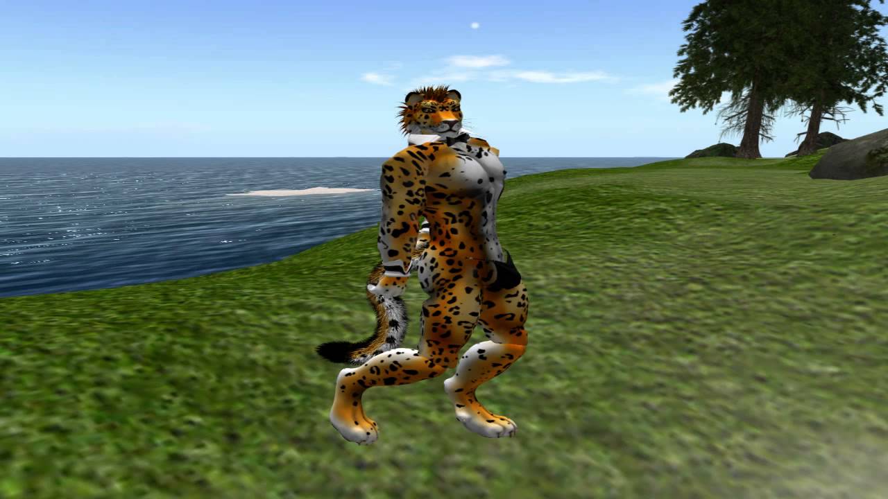 Leopard - Muscles - SL - YouTube