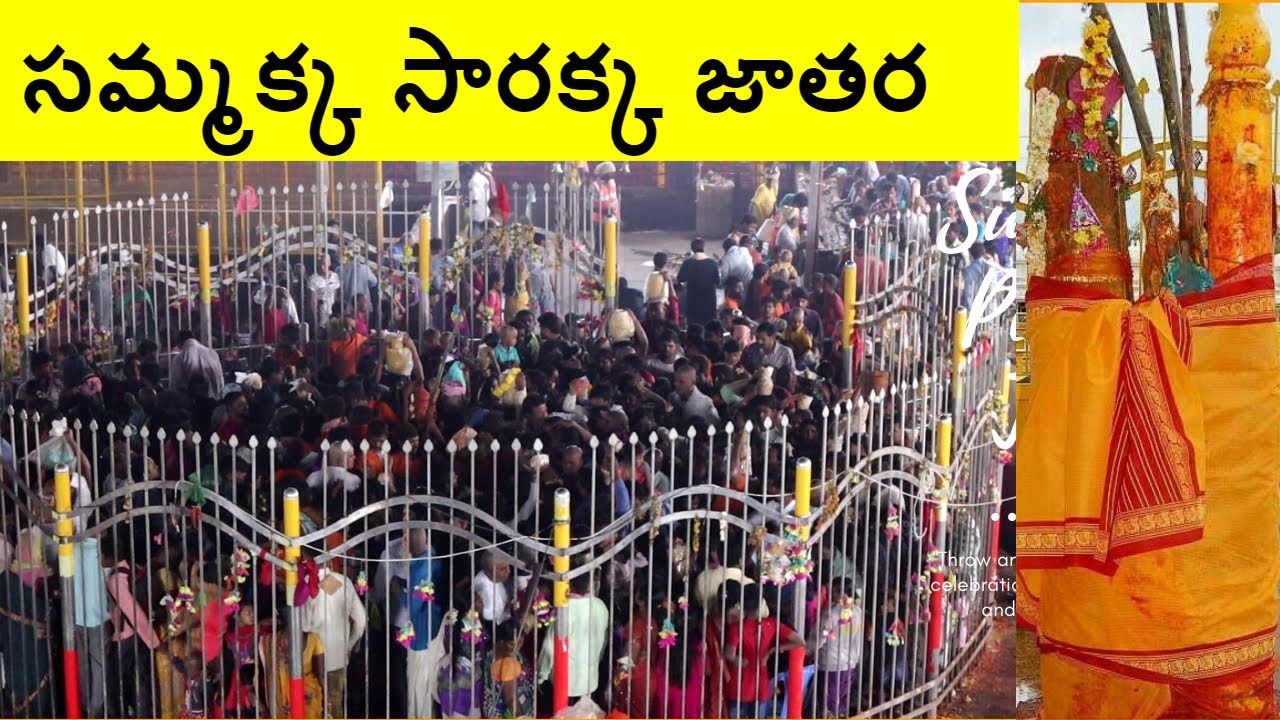 Sammakka Sarakka Medaram Jatara | Medaram Jatara | Medaram full view ...