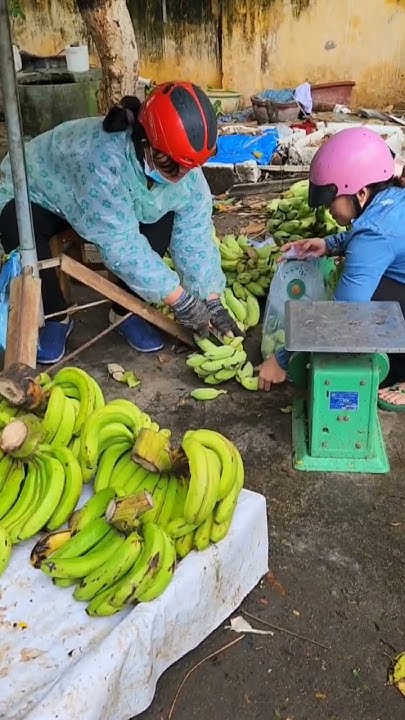 Как продают бананы во Вьетнаме 🍌 Youtube