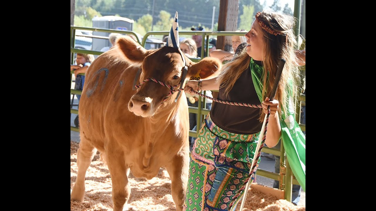 Benton County Fair - 2023 - YouTube