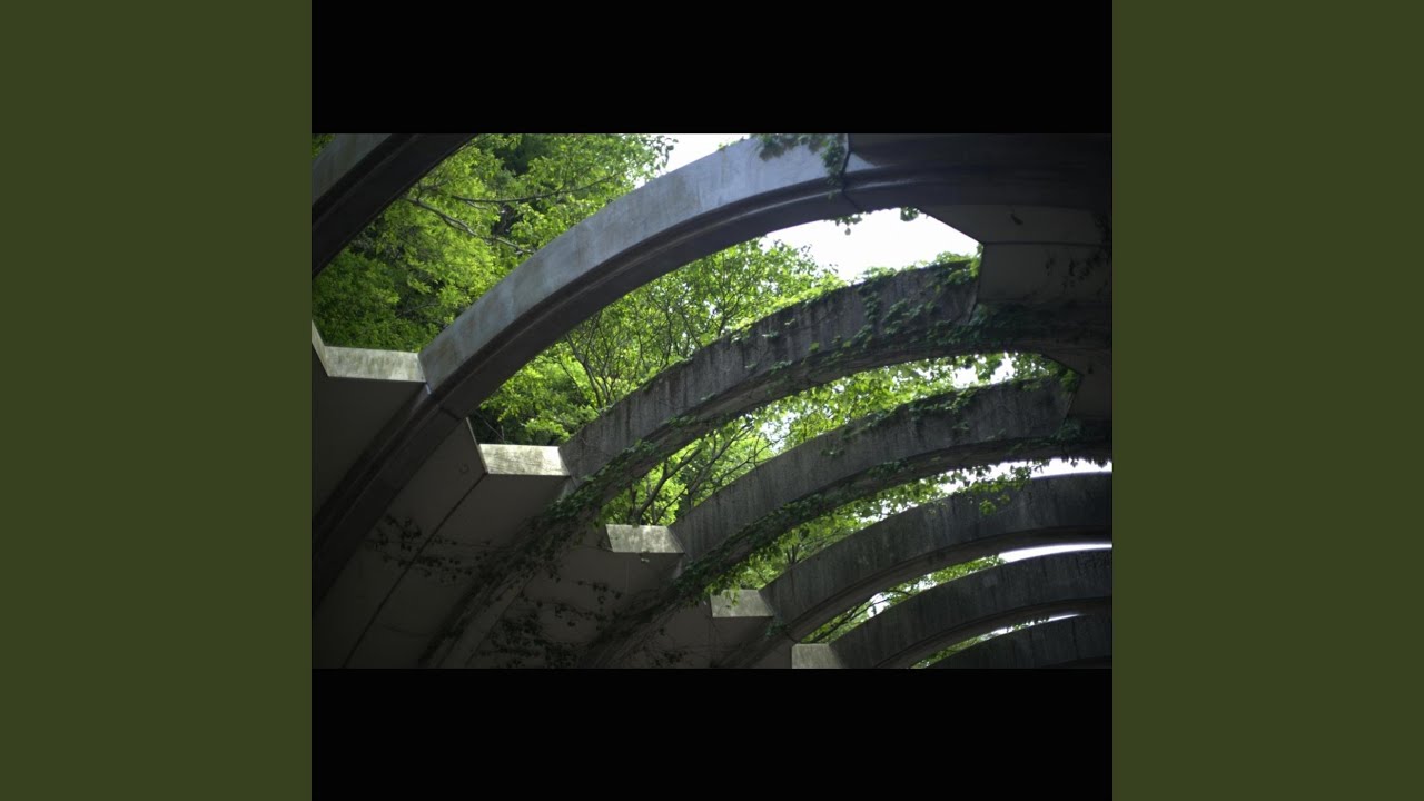 The Old Tea Tree - YouTube