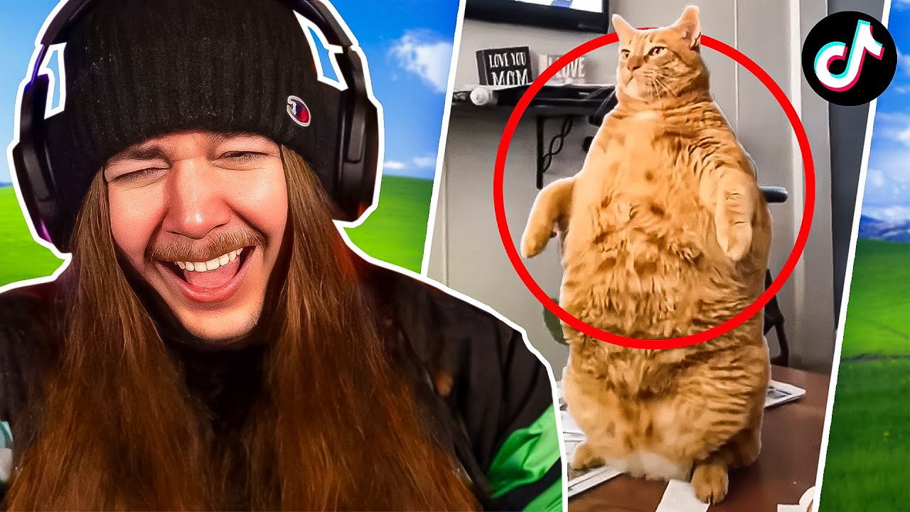 Losing My MARBLES Watching Your Tiktoks - YouTube