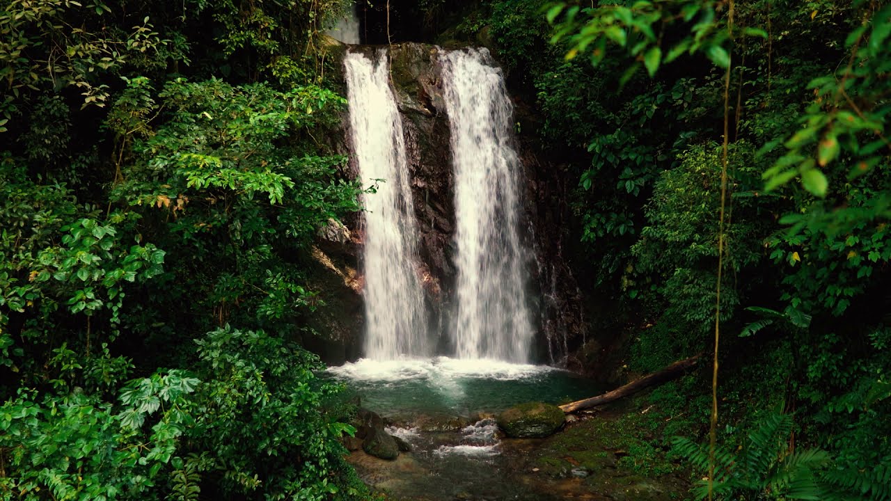 Viaje por la Chinantla Alta de Oaxaca. - YouTube