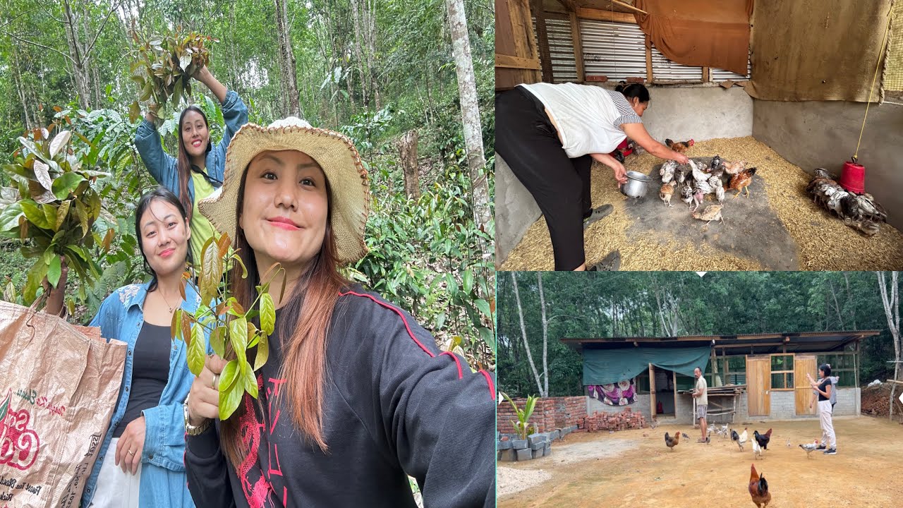 A Day in the Village | Local Chicken Farming, Foraging jungle Veggies ...