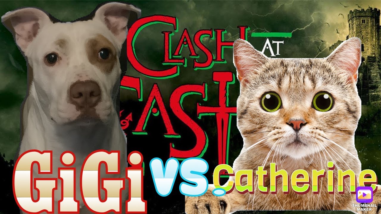 Clash at the Castle : GiGi VS CATHERINE: RAW Women’s Championship - YouTube