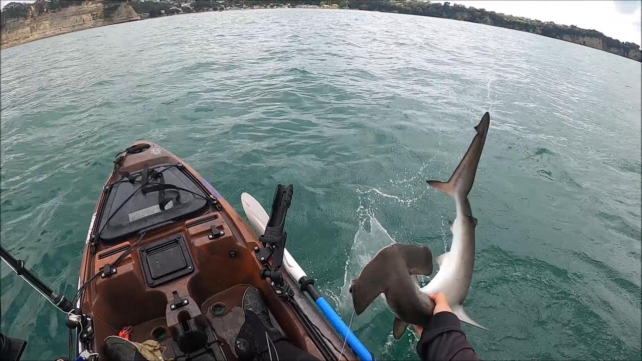NZ Kayak Fishing FAIL (Shark Infestation!) - YouTube