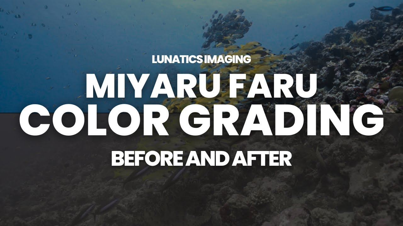 Color Grading Underwater Video DaVinci Resolve | Sony FX3 Slog3 ...