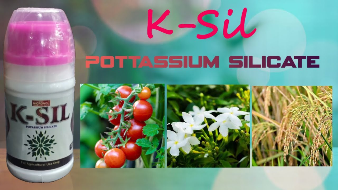 K-SIL Liquid Fertilizer | Micronol | Linga Chemical | Pottasium ...