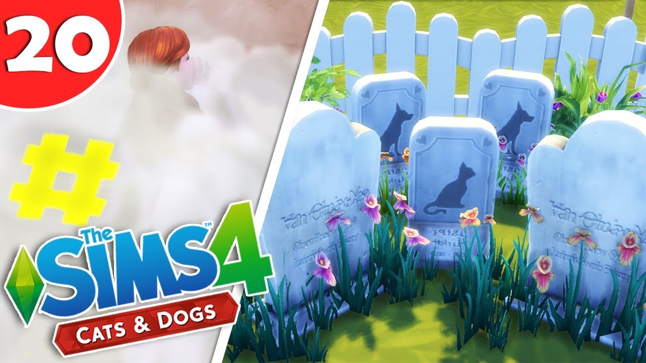 FIGHT & MORE DEATHS! | EP.20 | THE SIMS 4 CATS & DOGS - YouTube