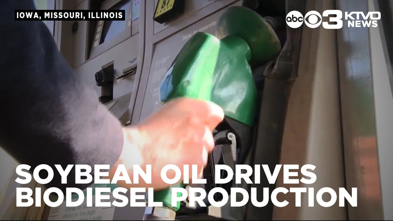 Soybean oil drives drive the production of biodiesel and demand for ...