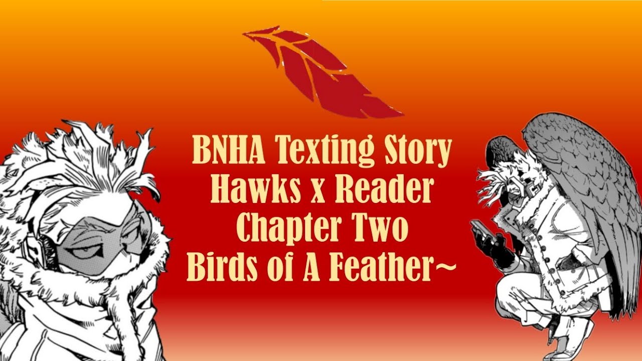 BNHA/MHA Texting Story 'Hawks x (Y/n)' Chapter Two: Birds Of A Feather ...