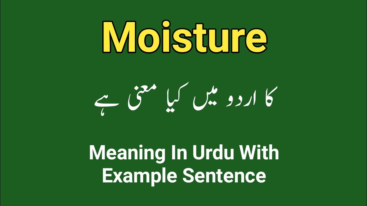 Moisture meaning in Urdu/hindi || Moisture in a sentence || Moisture ka ...