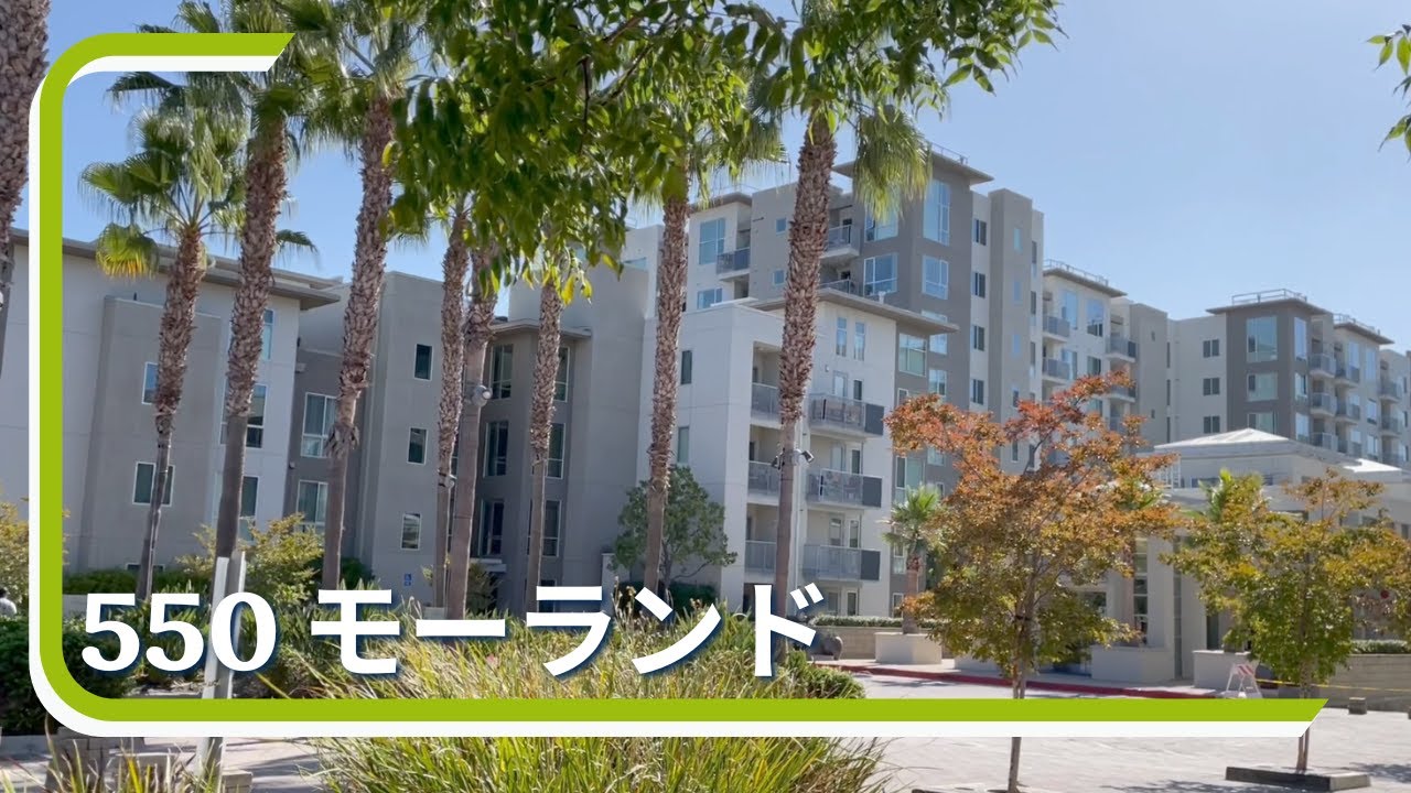 550モーランドアパートメント 最上階8階1LDK 853 sq feet - YouTube