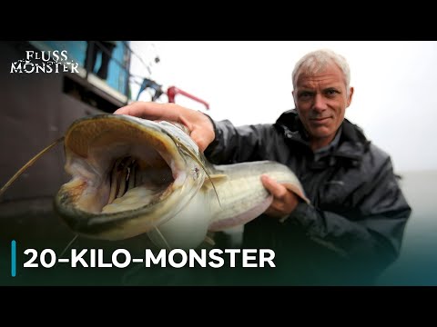Der Kampf gegen ein 20-Kilo-Monster | Fluss Monster