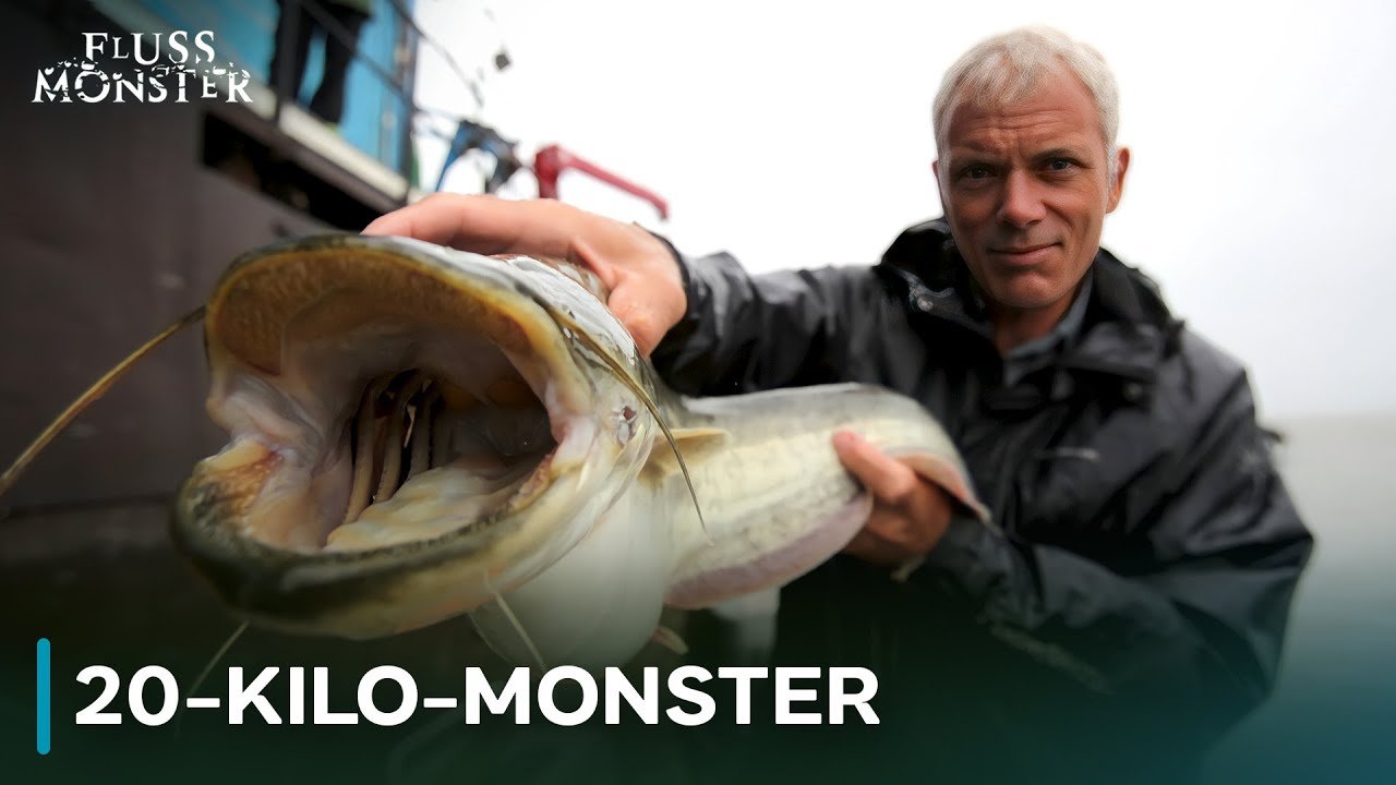 Der Kampf gegen ein 20-Kilo-Monster | Fluss Monster - YouTube
