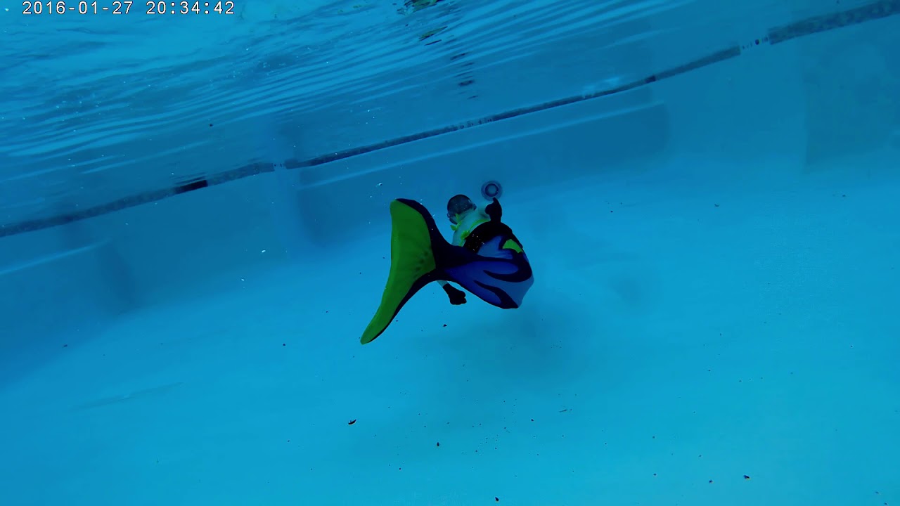 Practice Swim in Fin Fun Blue Tang Tail - YouTube