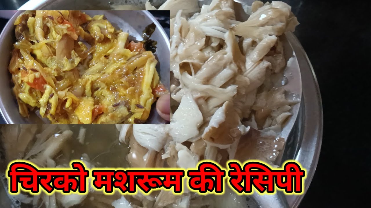 masrum ki recipe/चिरको मशरूम की रेसिपी .... 🥰🥰# chirko masrumchirko ...