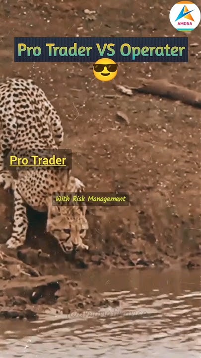 fight Pro Trader Vs Operator 💪 #shorts - YouTube