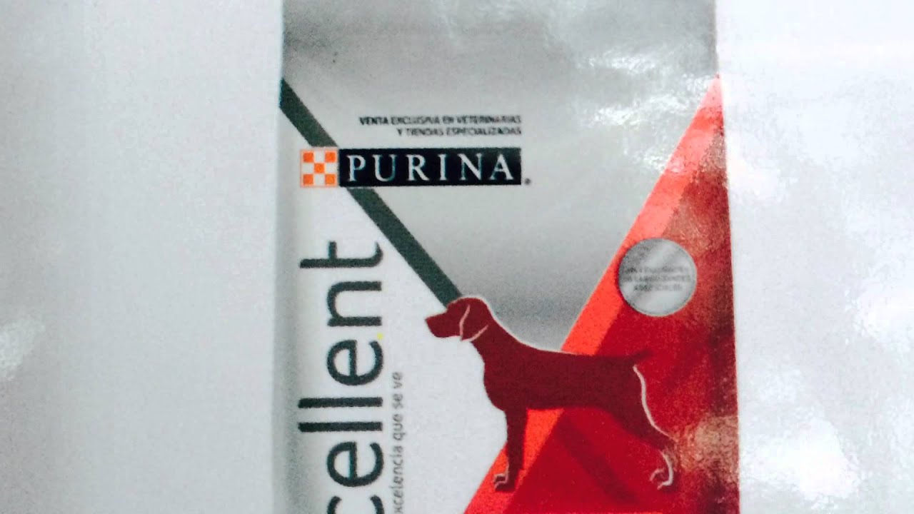 Purina Excellent - YouTube
