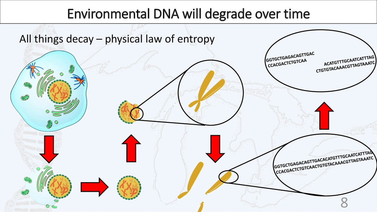Precision Biomonitoring Webinar II: Understanding the Ecology of eDNA ...