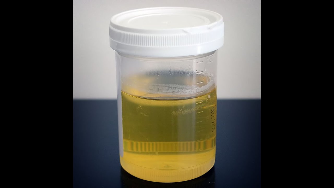Drinking Pee YouTube drinking-pee-youtube