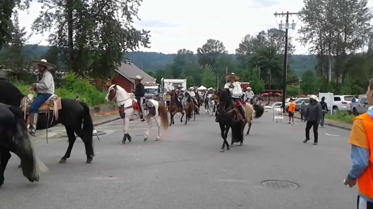Duvall Days horse parade - YouTube