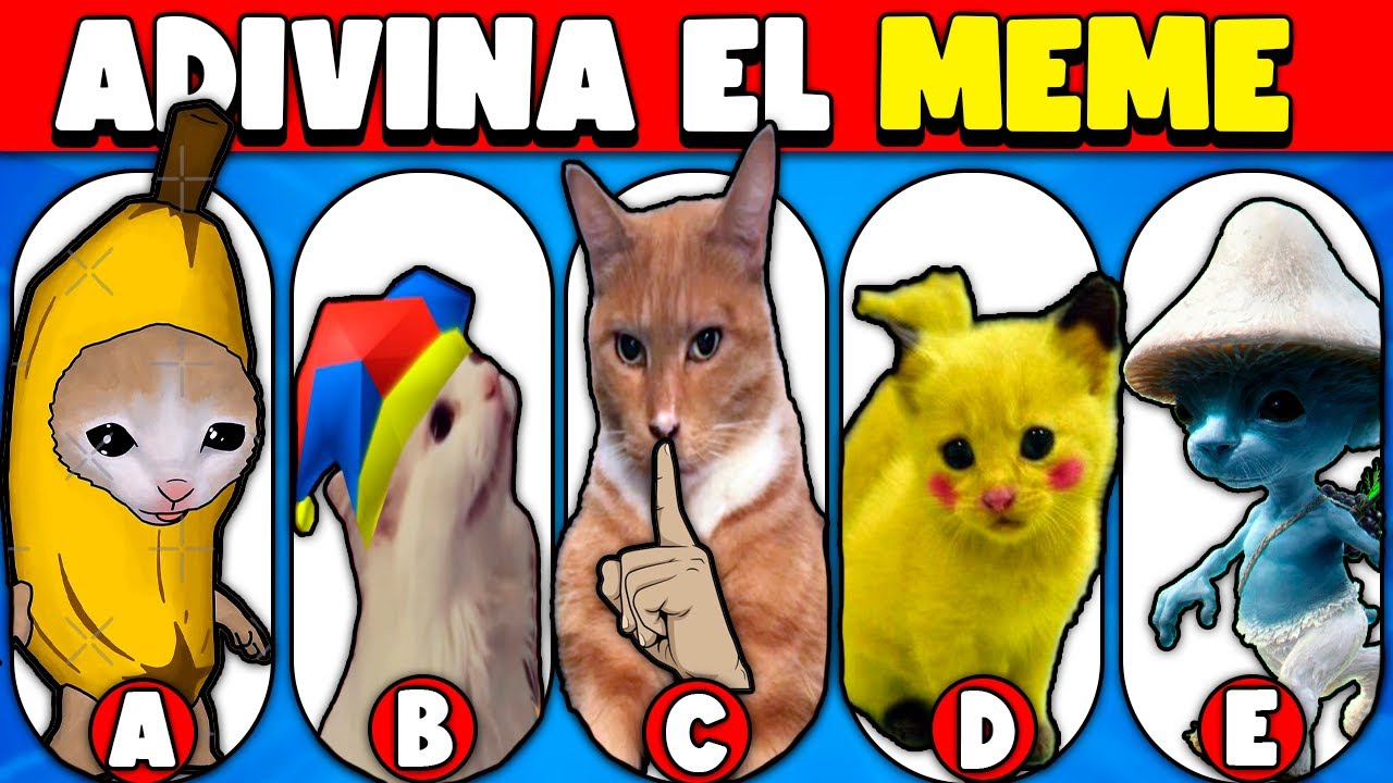Adivina El Meme Por La Canción😀🎶Edición GATOS😺Gato Mewing😺Gato Chipi ...