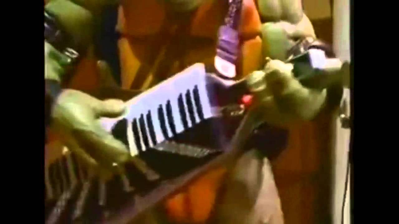 Turtle Tard - YouTube