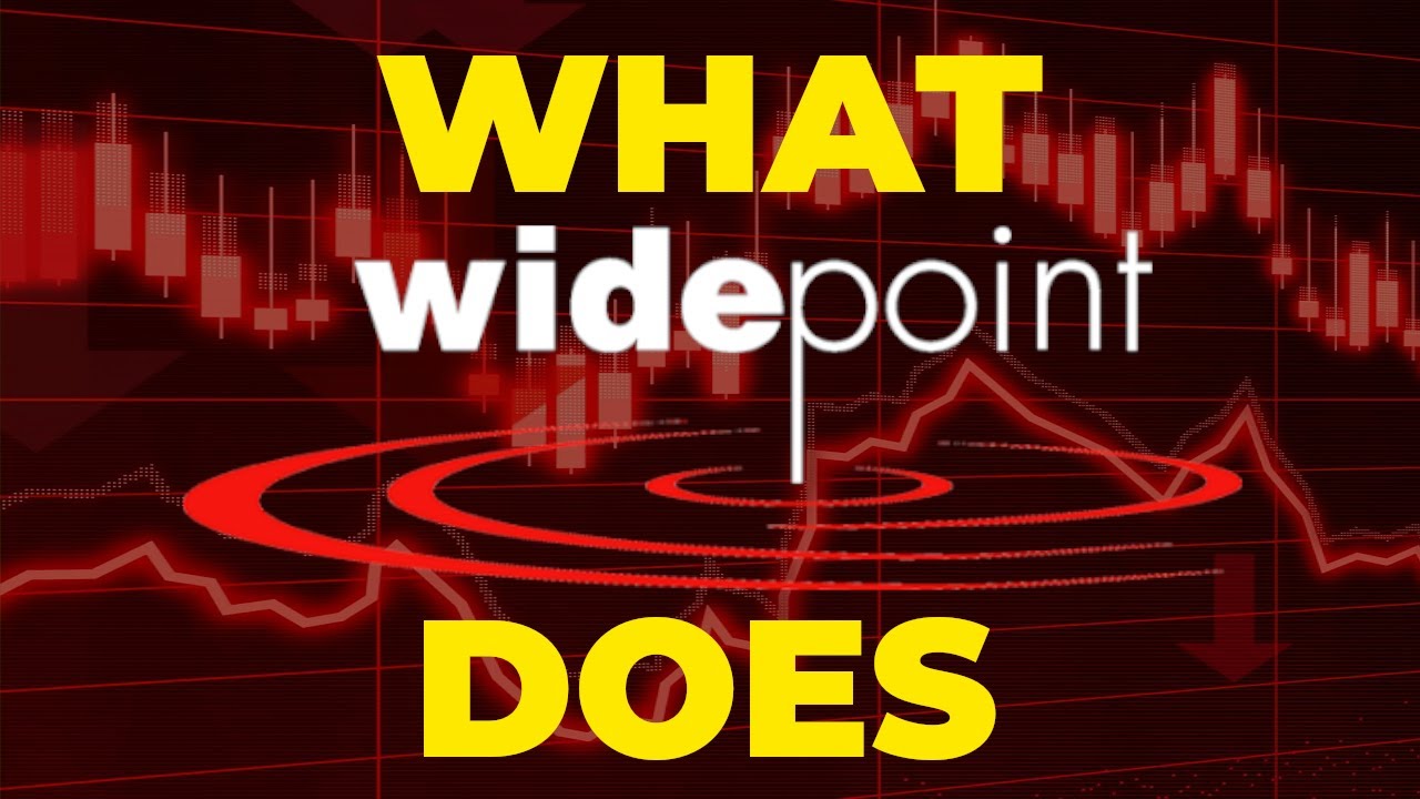 What WidePoint Corporation does [ $WYY ] - YouTube