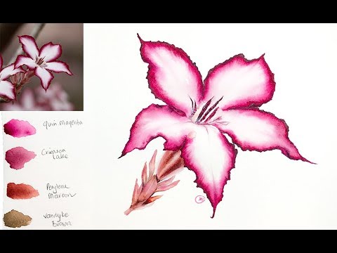 Impala Lily Flower Painting in Watercolor Small Palette - YouTube