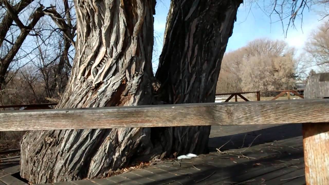 Mormon Chapter 2 Verse 13 - YouTube