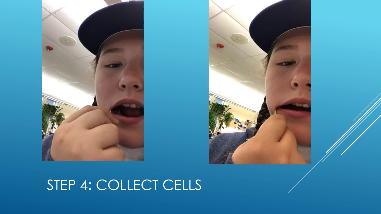 Cheek Cell Student Example 1 - YouTube