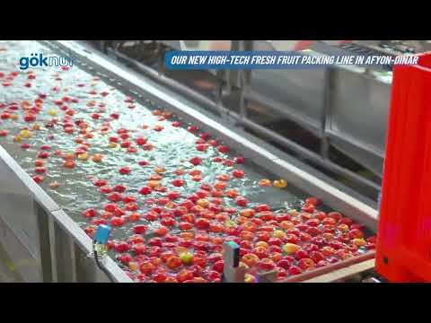 Afyon-Dinar Taze Meyve Paketleme Tesisi I Fresh Fruit Packing Facility in Afyon-Dinar