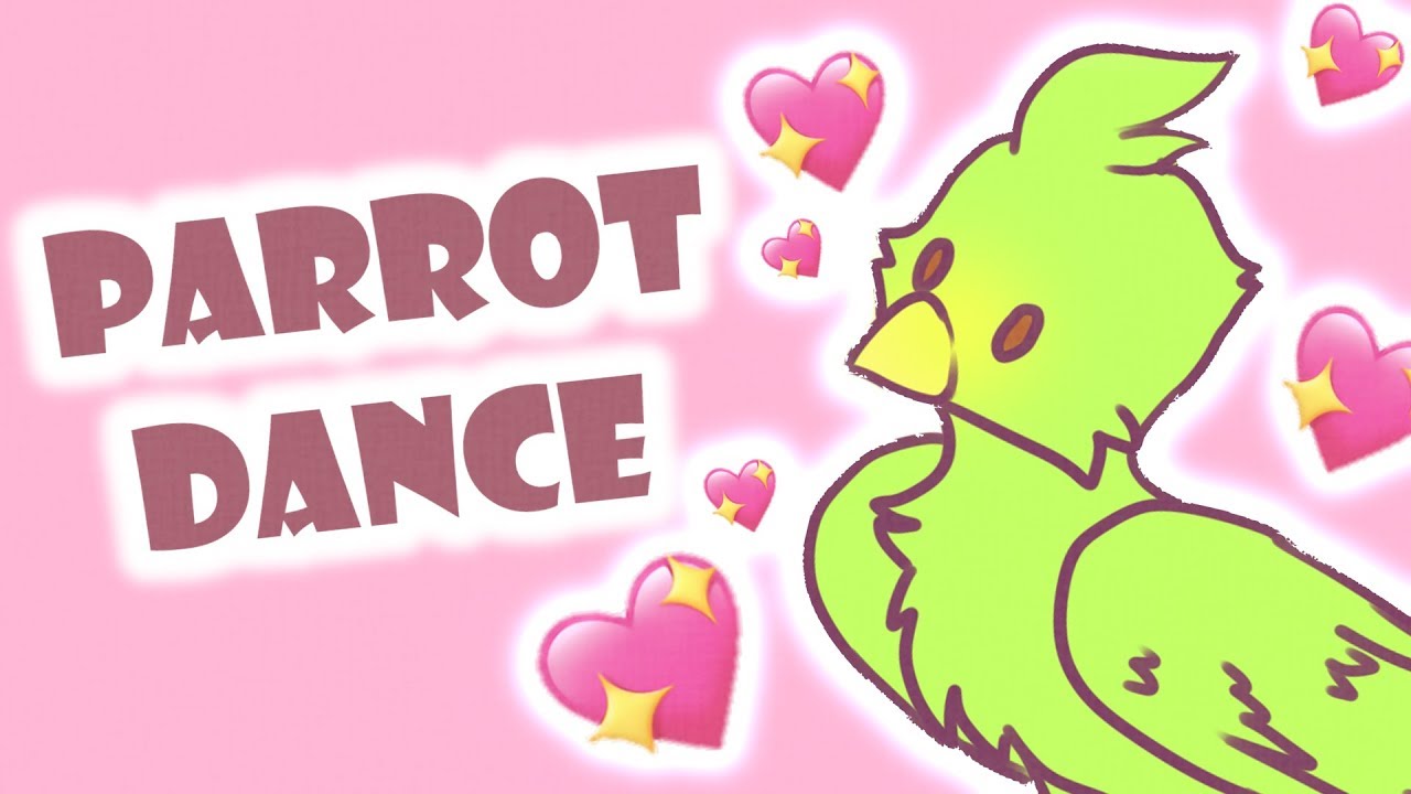 Parrot dance {meme} - YouTube
