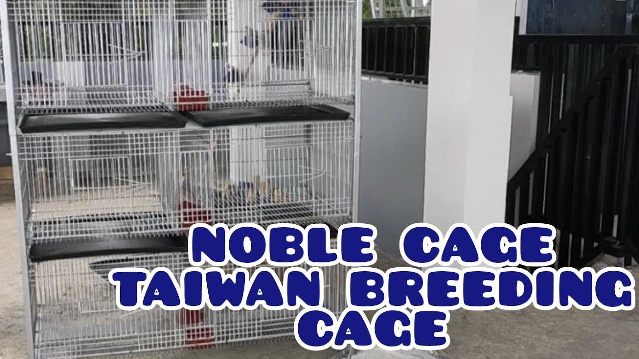 PAANO MAG ASSEMBLE NG NOBLE CAGE TAIWAN STYLE FOR BREEDERS | NAPAKA ...