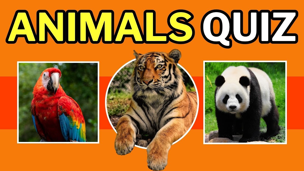 Amazing Animals Quiz 🐾 20 Questions and Answers - YouTube