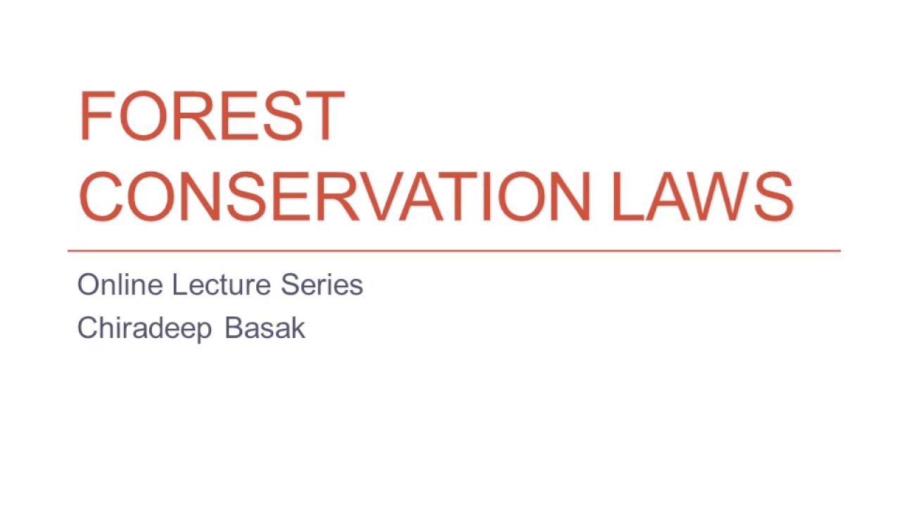 Online Lecture Series- Forest Conservation Laws Part 1 - YouTube