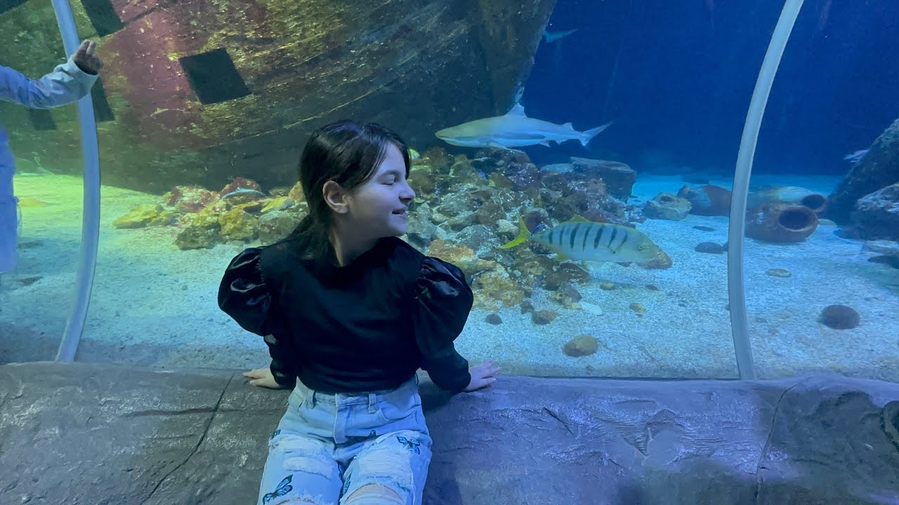 SEA LIFE Aquarium da Bir gün😁🐠 - YouTube